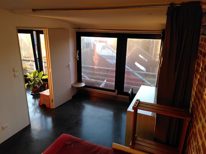 Chambre Chez L'habitant - Roubaix
