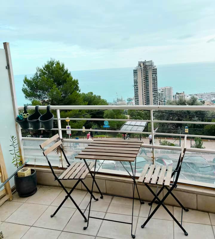 Vu La Mer De Monaco - Beausoleil