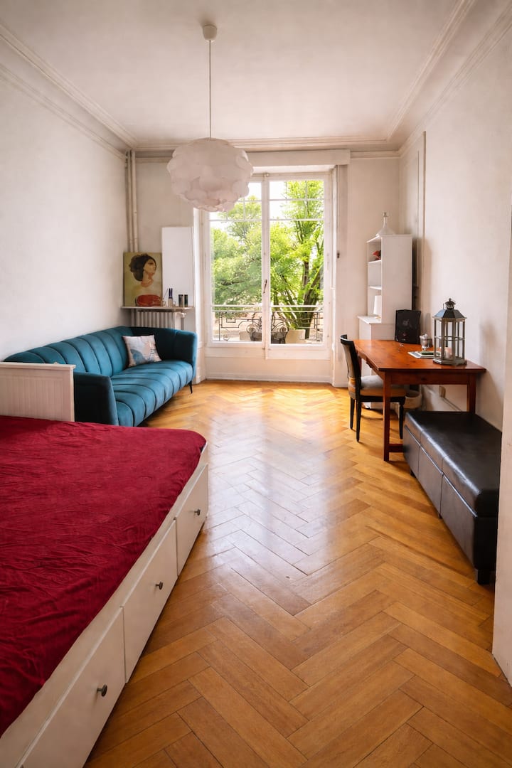 Superbe Et Spatieuse Chambre, Plein Centre - Genève