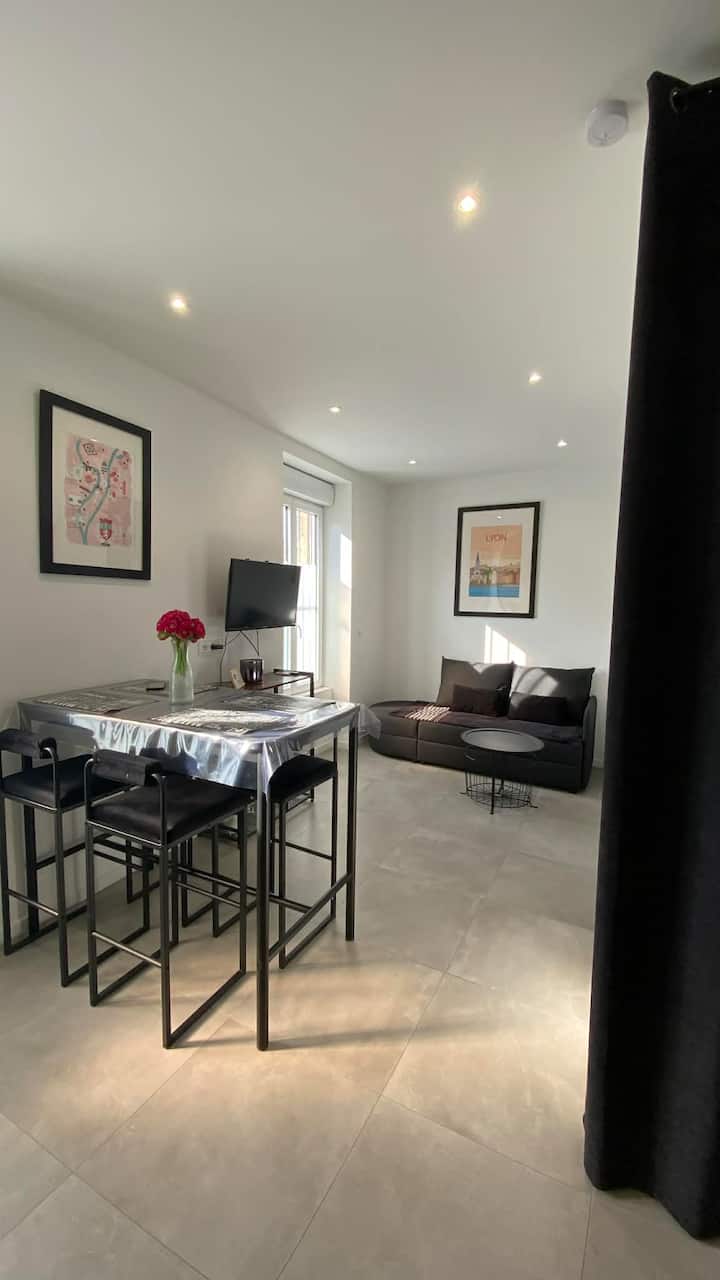 Studio Bis Privé Proche Métro Cusset/charles Robin - ibis Lyon Carre De Soie