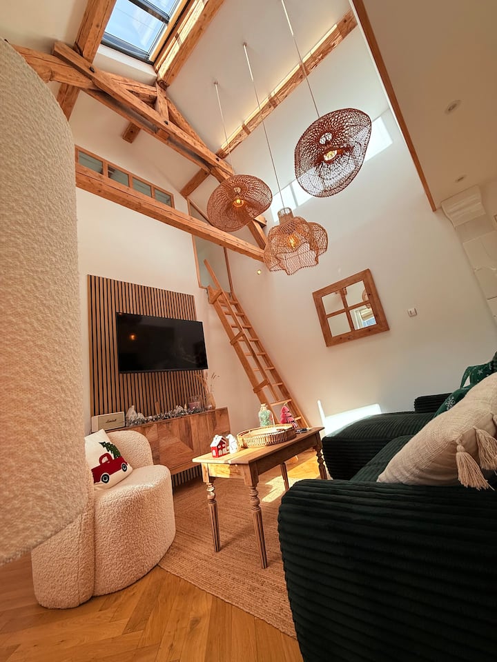 Duplex De Charme, Hyper Centre
Le Doux Refuge - La Bourboule