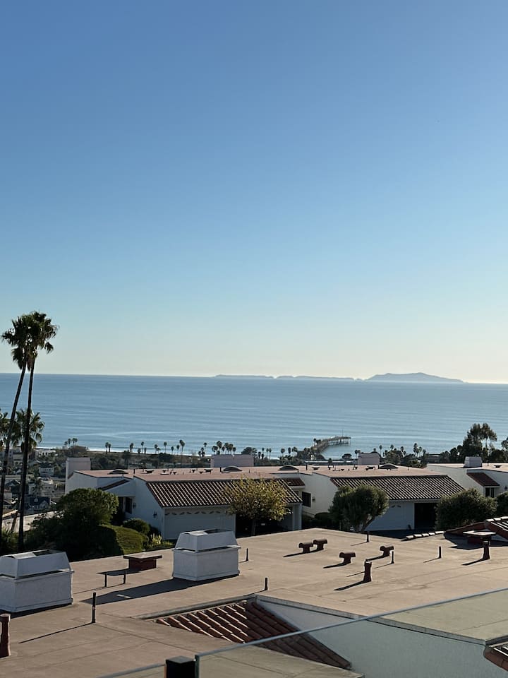 Views Views Views! And Luxury! - Ventura, CA