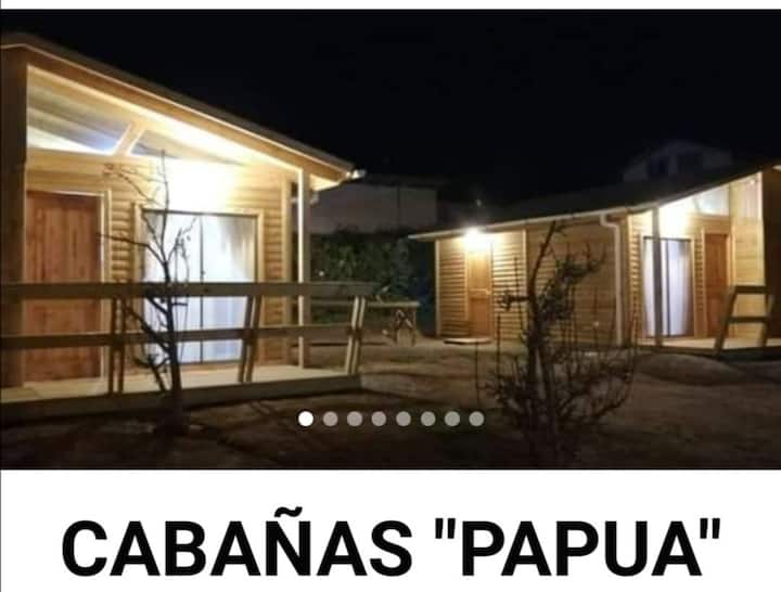 Cabañas Papua 1 - El Quisco