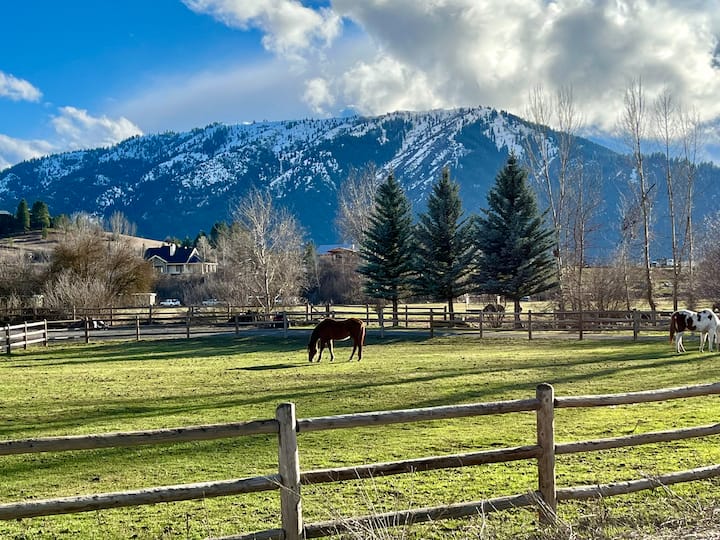 Heart Haven Farm 
Barndominium
1+br/1ba
1st Floor - Garden Valley, ID