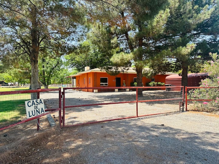 Near Old Mesilla, Nmsu, Spacious Yard - 拉斯克魯塞斯