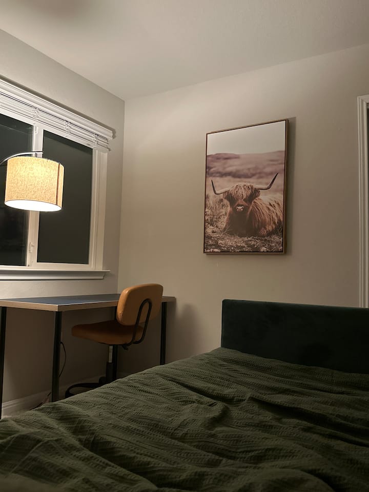 Relaxing & Stylish Room In Austin! - 오스틴