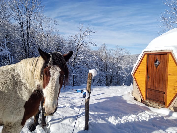 Dôme "Forêt", Alpagas Et Vue Sur Les éToiles - Lamastre