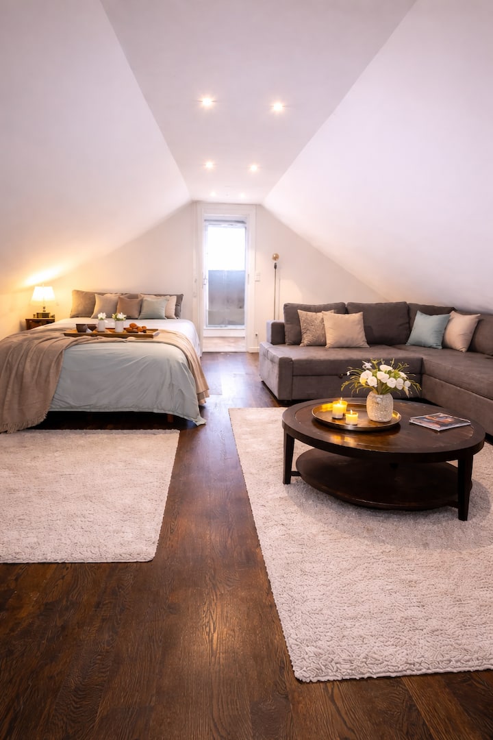 Stodio Spacieux & Confortable. Proche Paris Et Cdg - Drancy