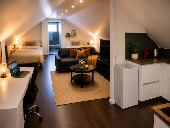 Stodio Spacieux & Confortable. Proche Paris Et Cdg - Drancy
