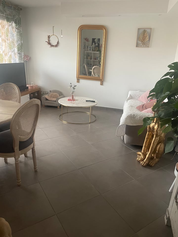 Appartement Très Bien Situé - Pamiers