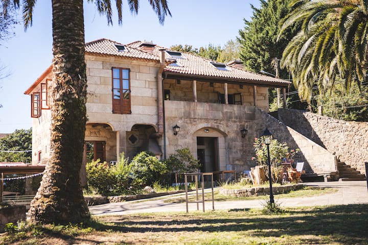 Palermiño - Pontevedra