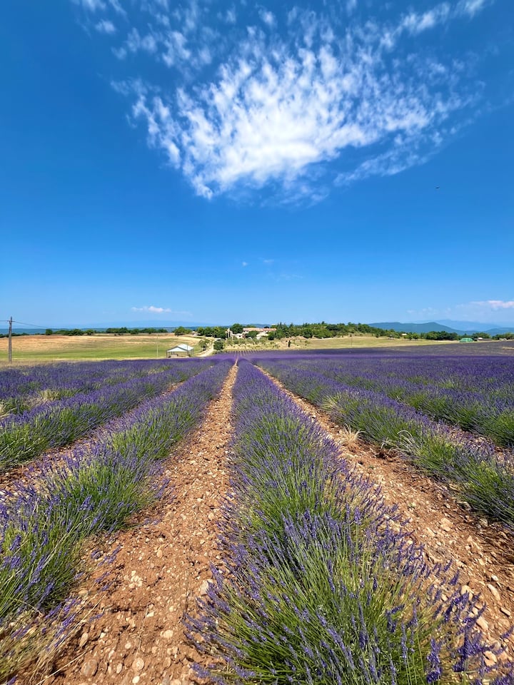Domaine De La Blache - Moustiers-Sainte-Marie