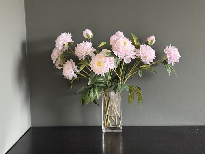 Your Oslo Adventure Pad - Oslo