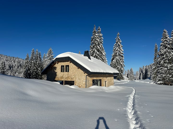 Maison Dans Un éCrin De Nature - Prémanon