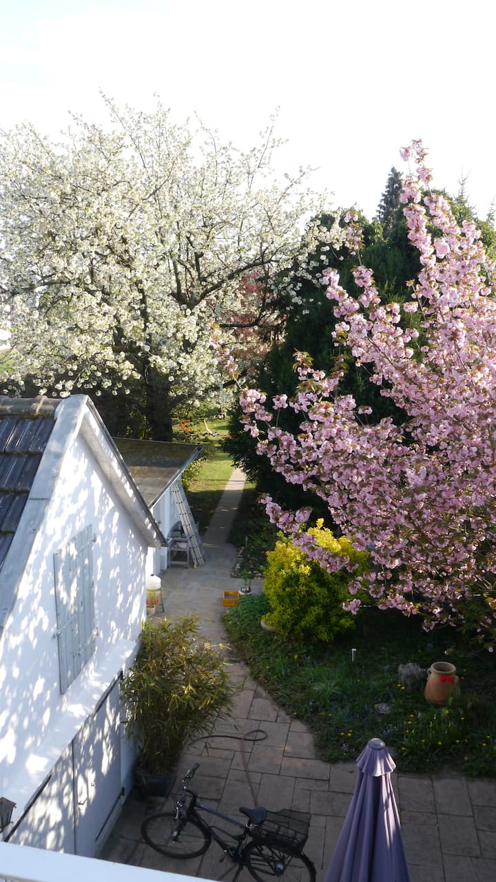 Doppelhaushälfte Altbau 30 Minuten Von Köln Messe - Monheim am Rhein