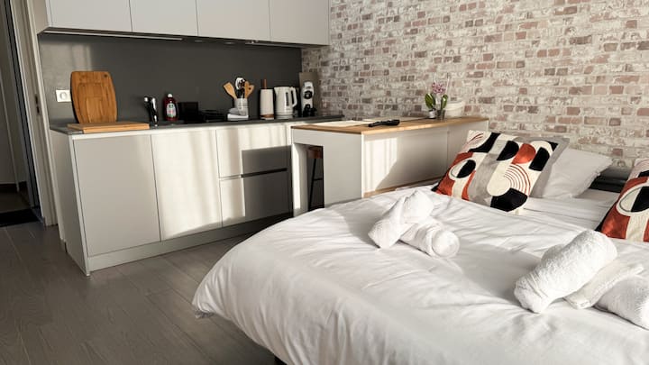 Studio Rdc, Terrasse, Parking Proche Paris - Maisons-Alfort