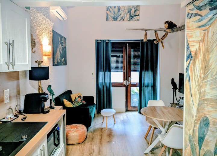 Studio Duplex Le Jungle - Bourgoin-Jallieu