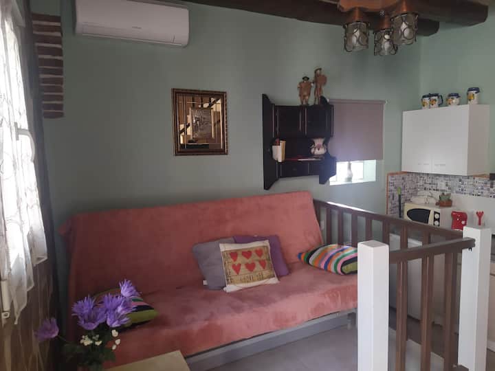 La Palmerita - Alagón