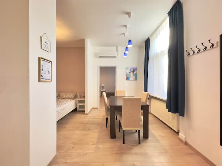 Historic Home With Modern Comforts - Budapest