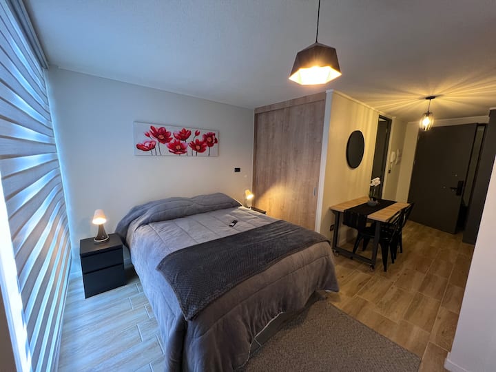 Moderno Departamento En El Corazón De Santiago - Chile