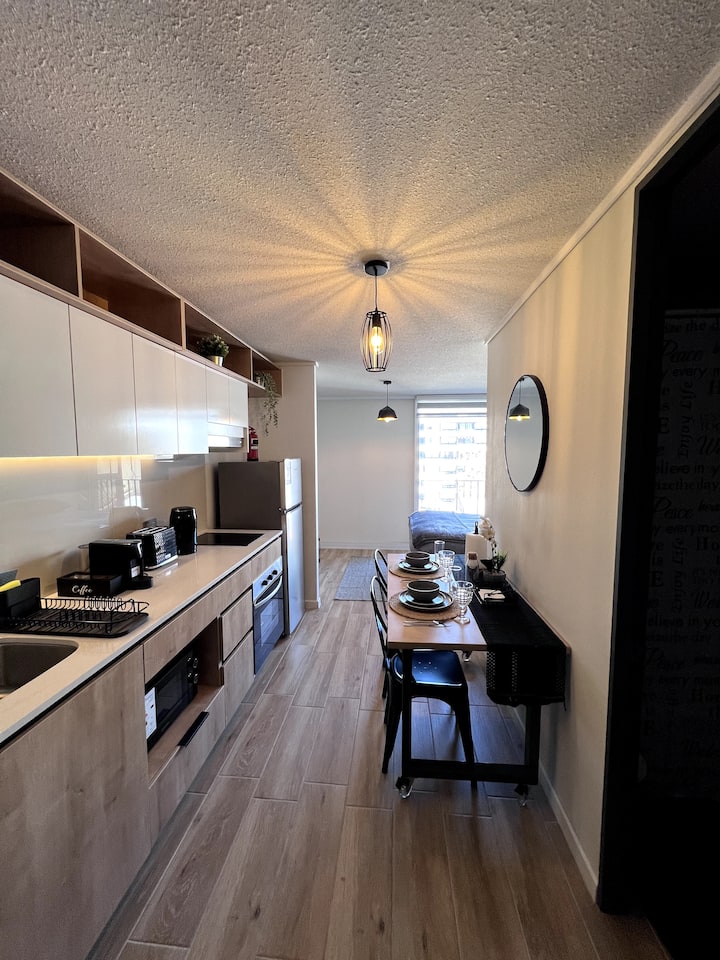 Moderno Departamento En El Corazón De Santiago - Providencia