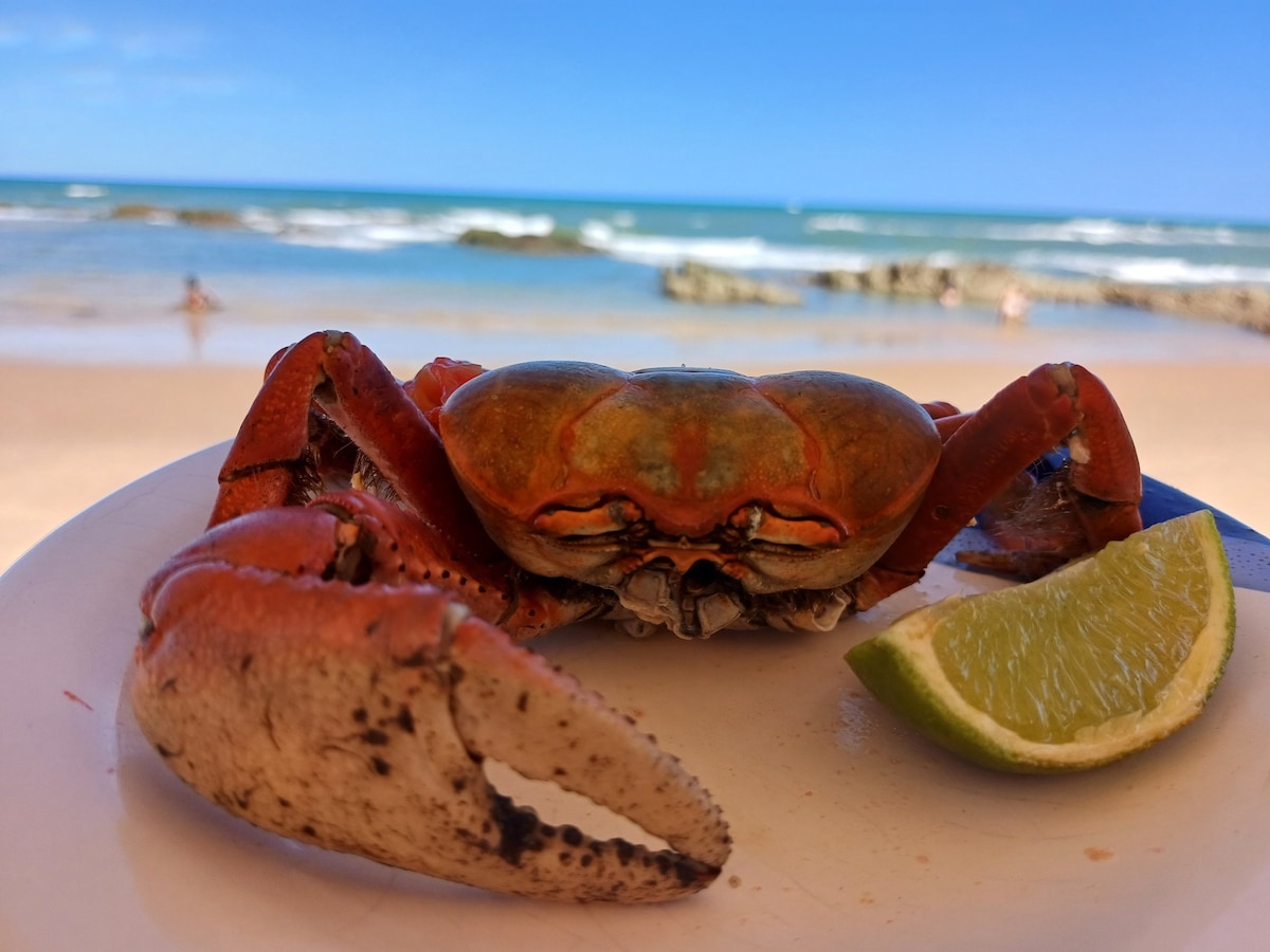 Costa dos Corais, Barra Beach 》Porto Sauipe 10 - Lofts for Rent in ...