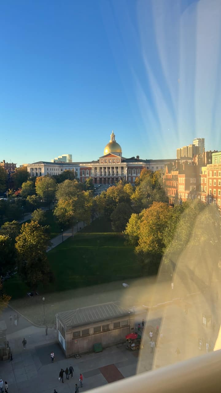 Cozy 1br Overlooking Boston - Cambridge