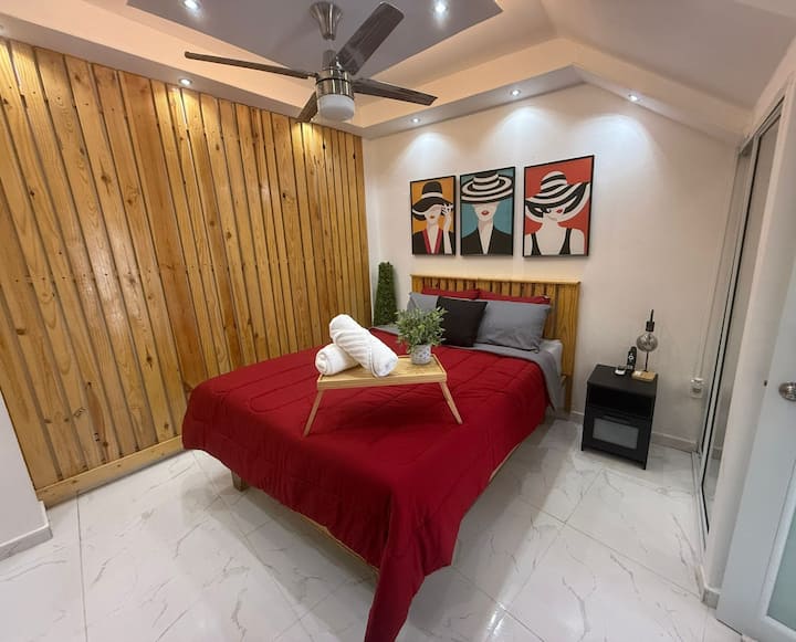 Stylish Apartment | Near Airport/ La Placita #2 - San Juan