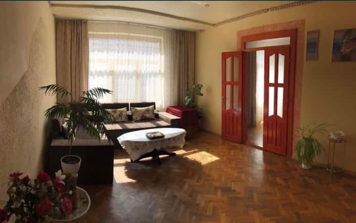 2-кімнатна простора квартира в історичному центрі - Uzhhorod