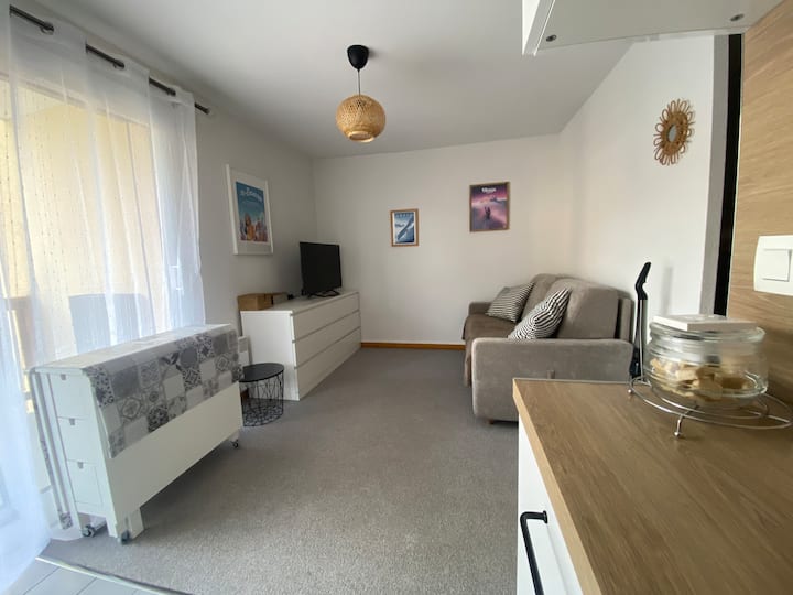 Le Sauze T1 Pieds Des Pistes 4pers+parking Privé - Sauze Super Sauze