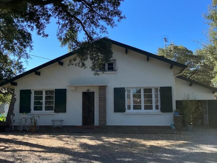 Villa Sous Les Pins Proche Port Lac Plages - Capbreton