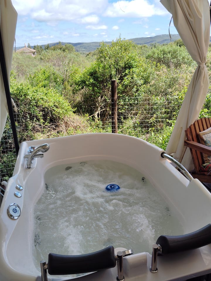 Crisálida La Casa En El Bosque. - Uruguay