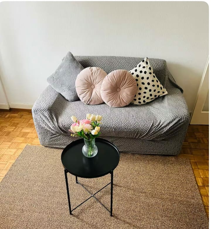 Logement à Lausanne Ville - Lausanne