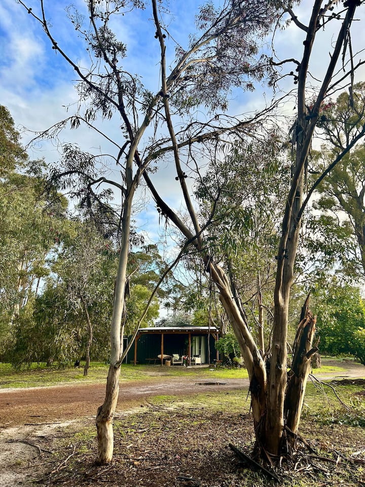 Nannup Studio Accomodation - Nannup