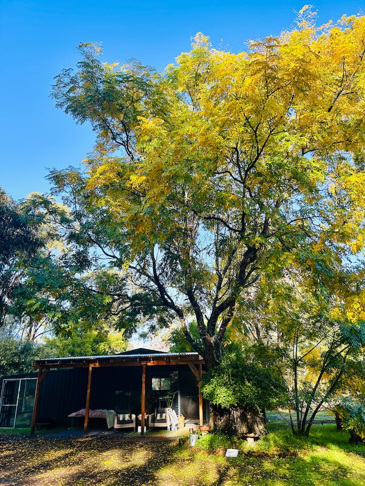 Nannup Studio Accomodation - Western Australia