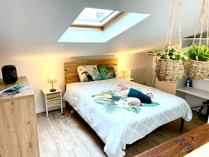 Petit Aubin Plein Centre & Charme Sous Les Toits - 圖盧茲