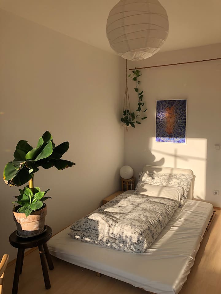 Habitación En Salzburgo - Salzburg
