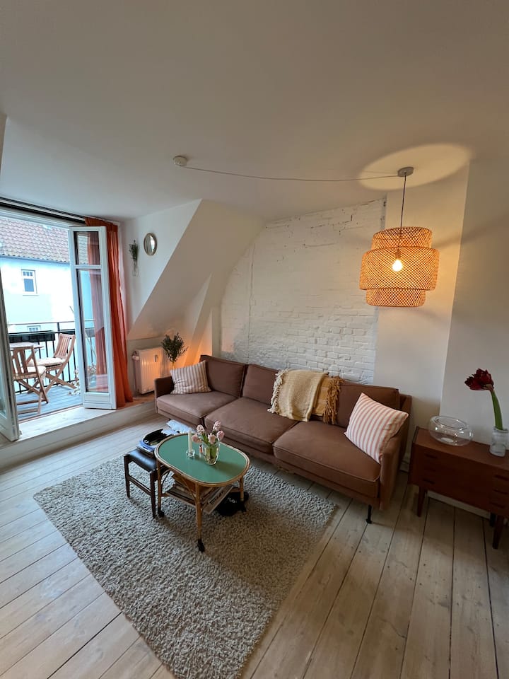 Calm And Charming Rooftop Apartment - Copenhague