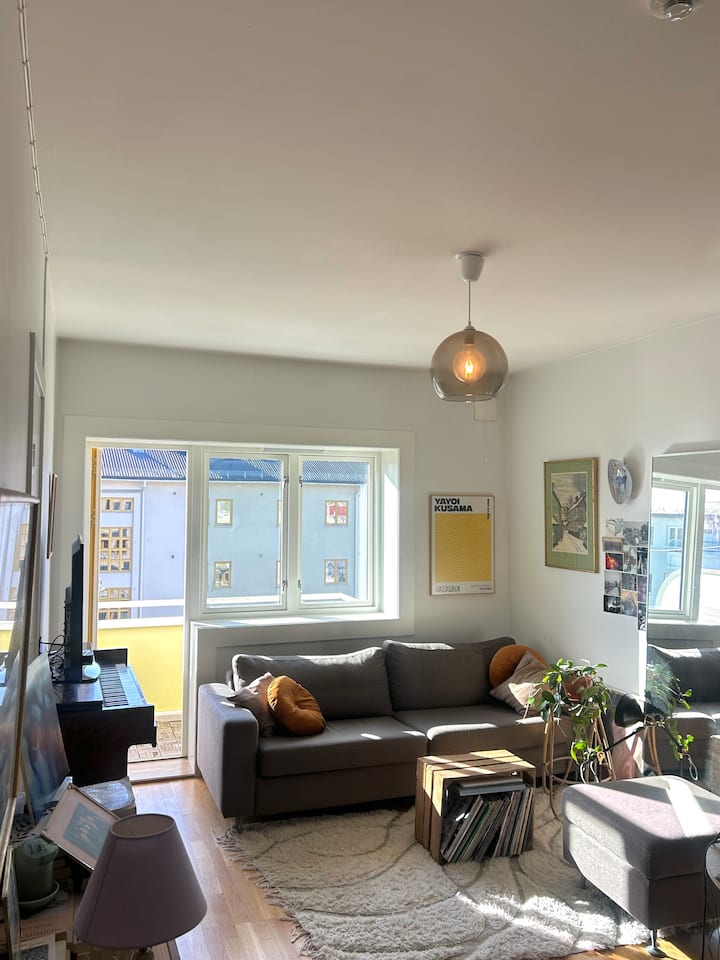 Sjarmerende Toppleilighet Sagene - Oslo