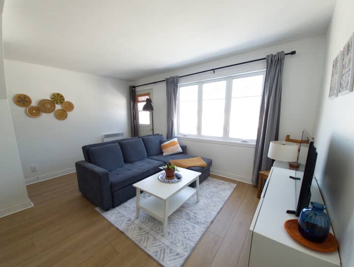Appartement Chaleureux Et Lumineux Face Au Parc - Montreal