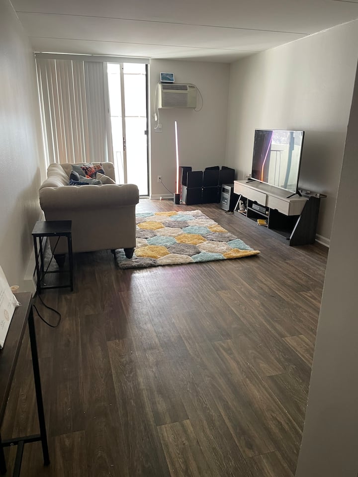 Lakeview 11th Floor Condo W/private Balcony - Oswego, IL
