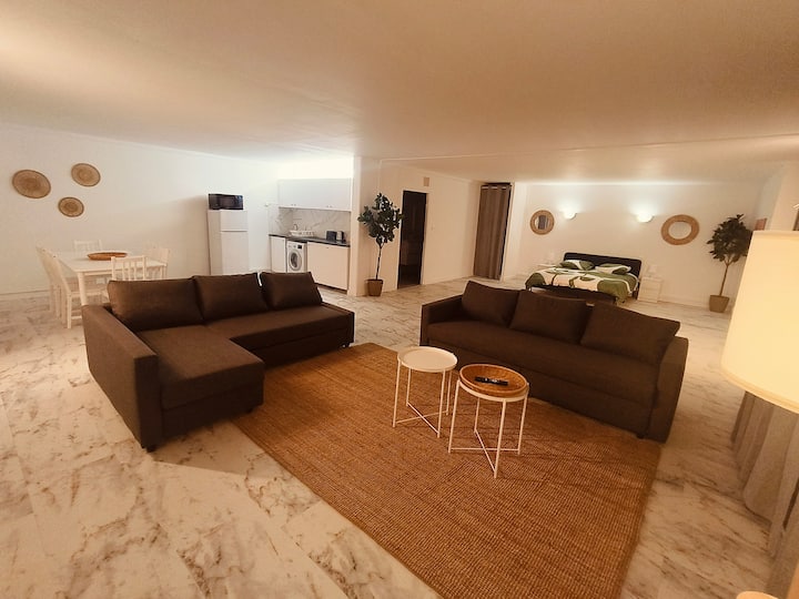 Magnifique Loft Refait à Neuf - Nice