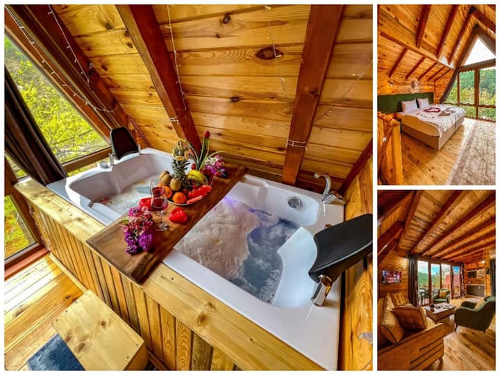 ıSıtmalı ÖZel Havuzlu,jakuzili 1 şIfaköy Bungalov - Kocaeli