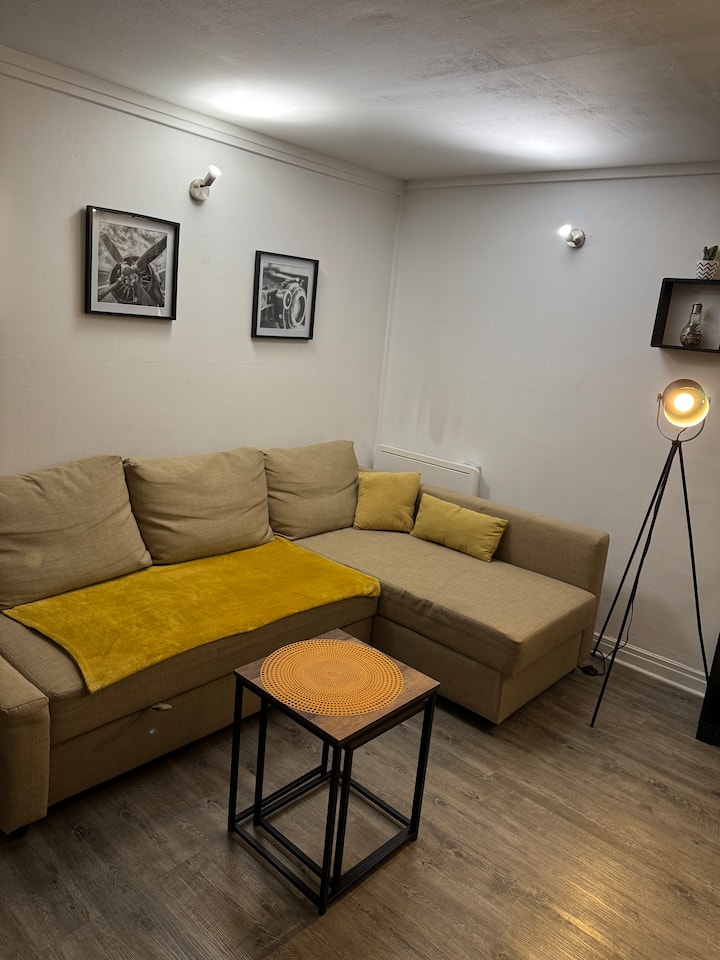 Appartement Cosy Metz - Metz