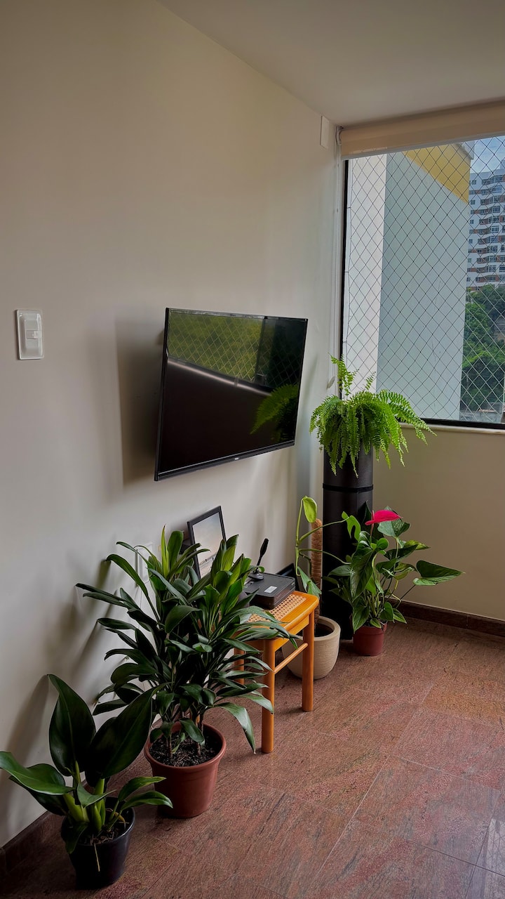 Apto 3q Av. Centenário - Salvador