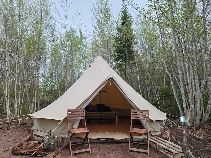 Bell Tent In The Woods. - Nova Scotia