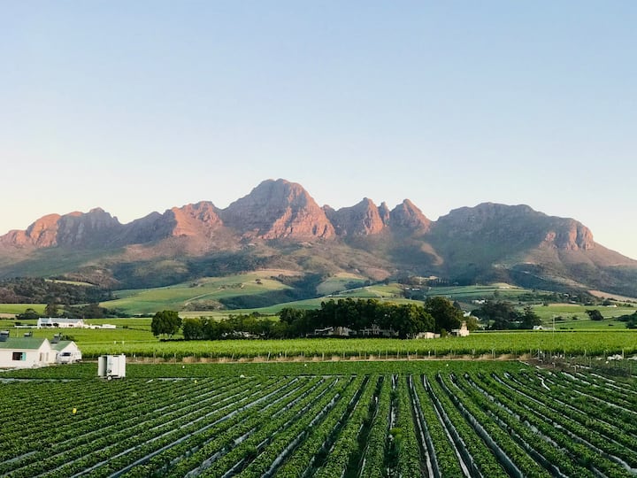 Naby-my Stellenbosch Cabin - Stellenbosch