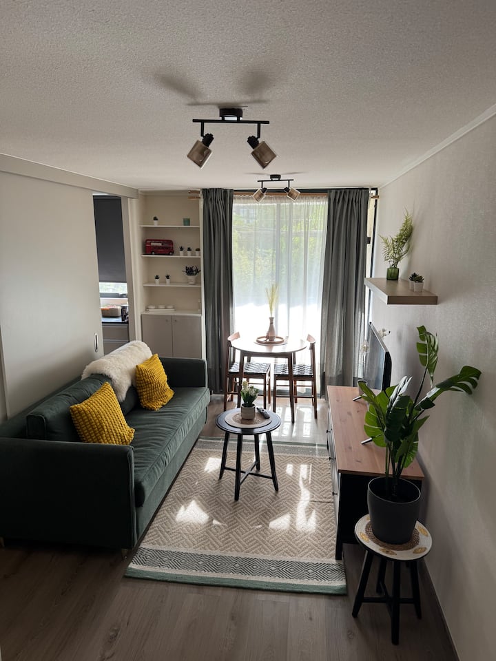 Hermoso Y Cómodo Departamento. - Providencia