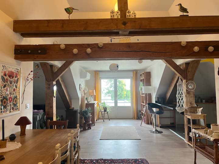 Appartement Charmant Avec Terrasse Parking Gratuit - Alsace