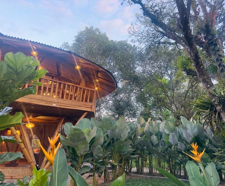 A Tropical Resort In Bukidnon - Manolo Fortich